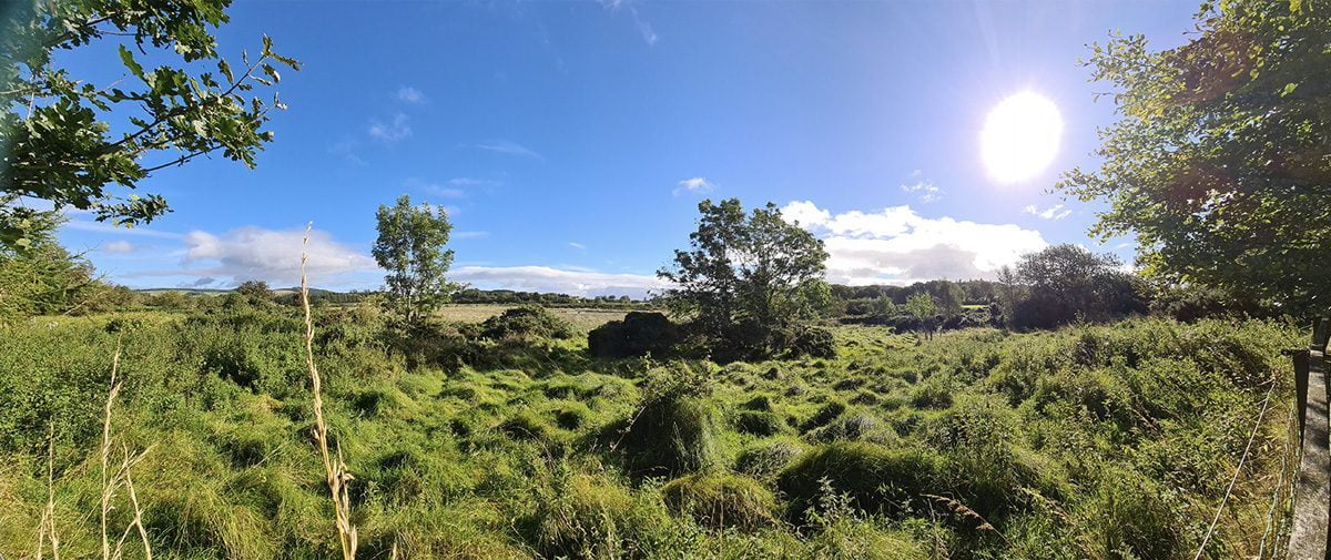 Windrush Farm | Craft experiences immersed in nature