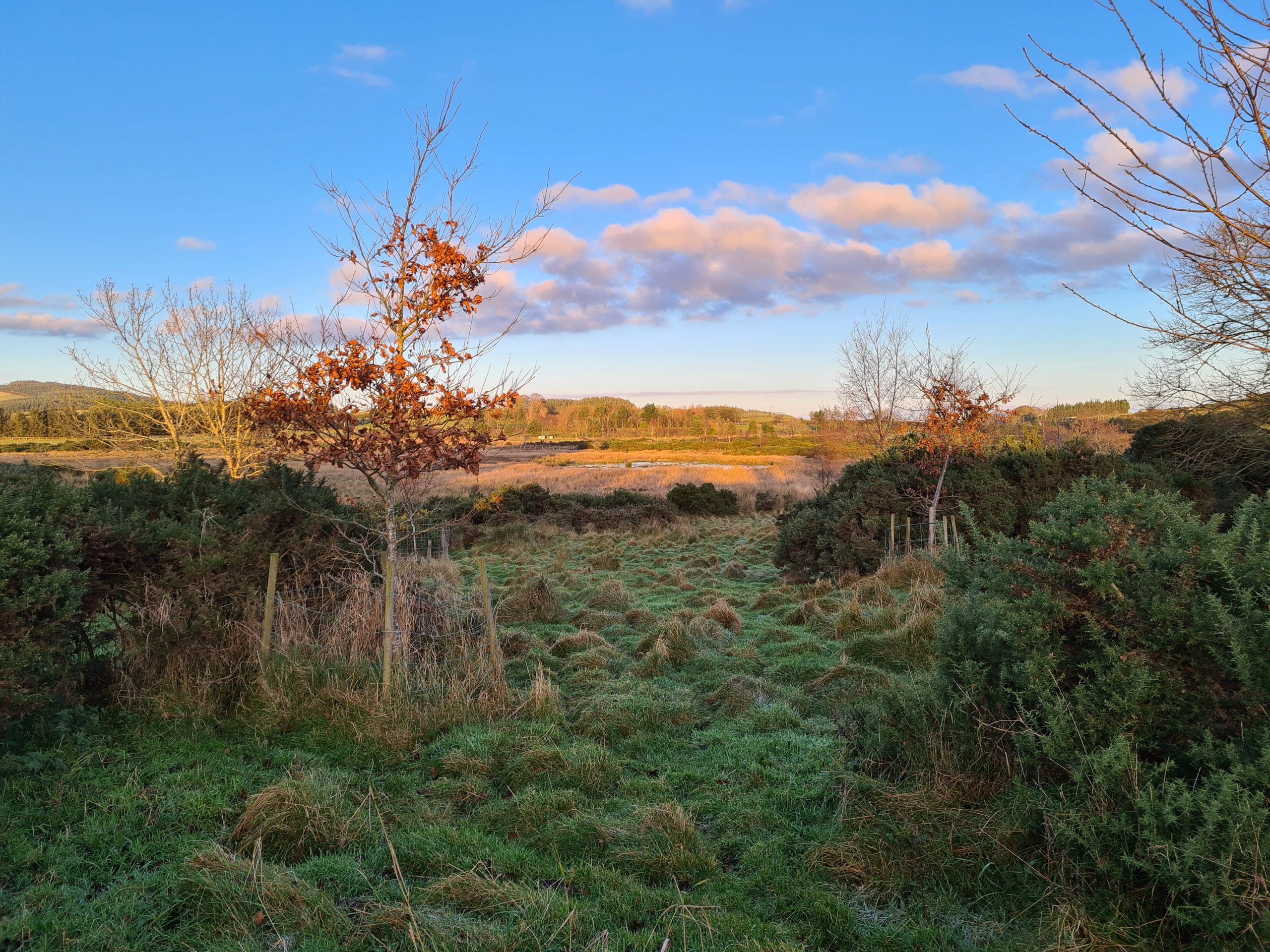 Windrush Farm | About